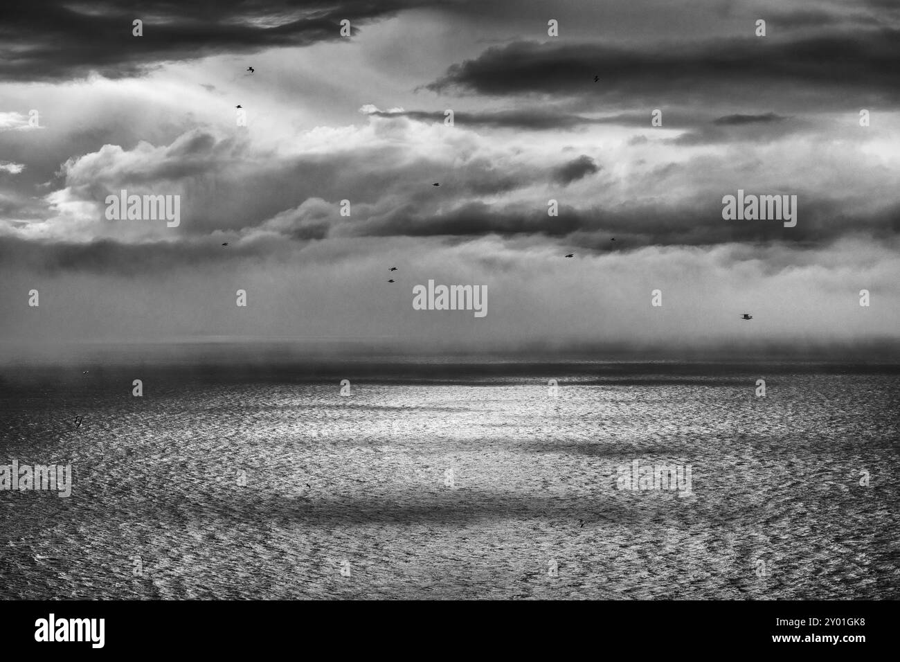 Backlit scene, Barents Sea, Soeroeya, Finnmark, Norway, March 2019 ...