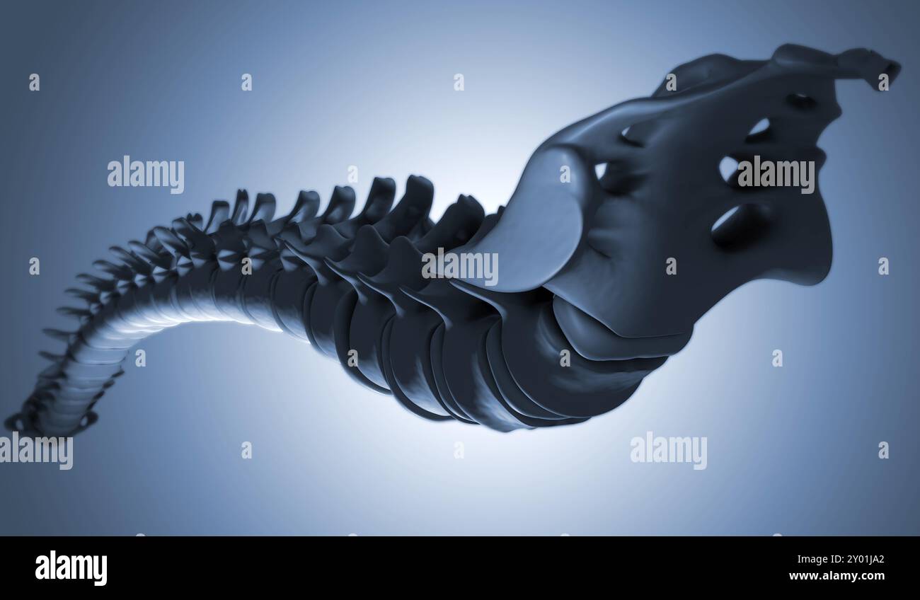No backbone hi-res stock photography and images - Alamy