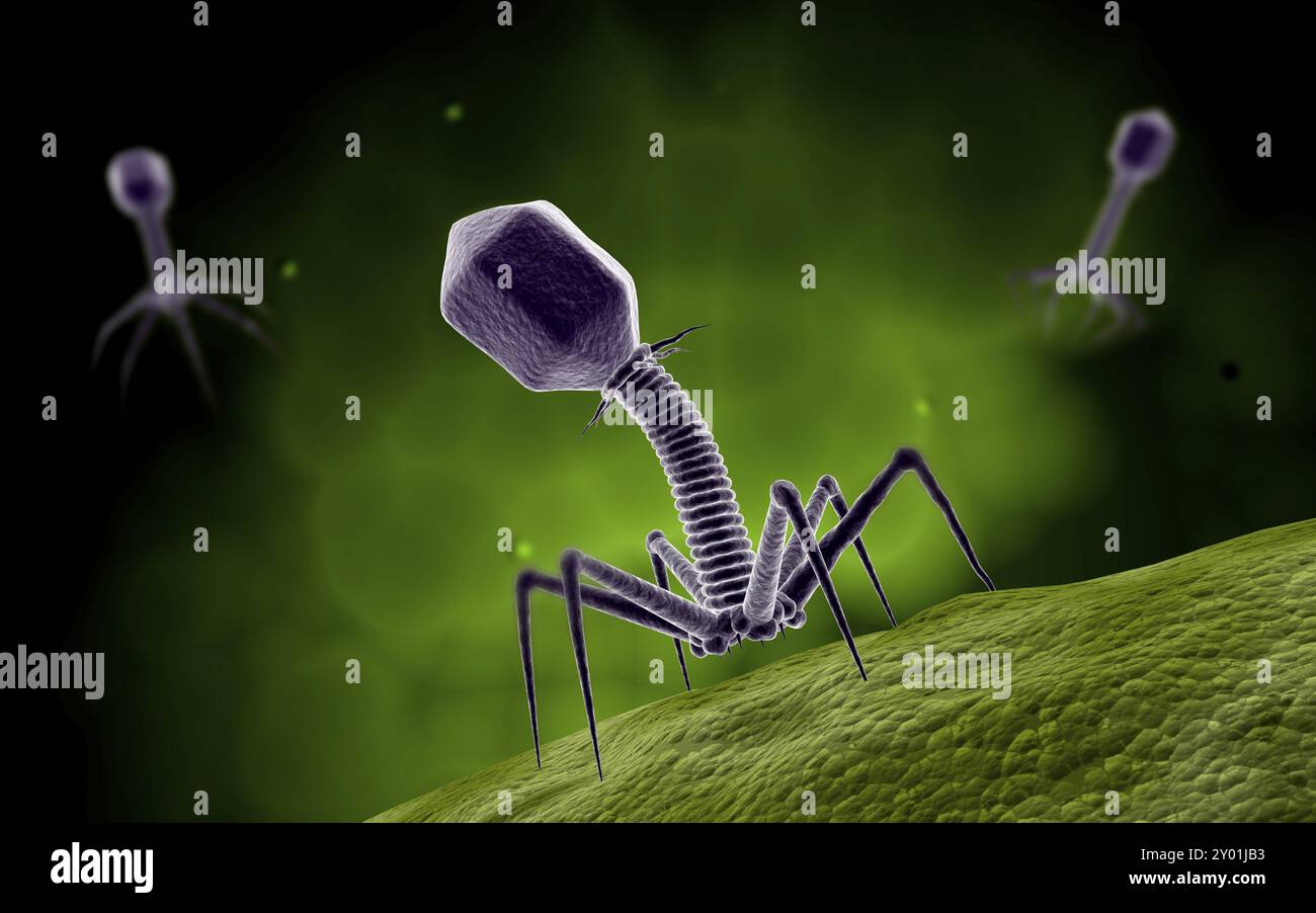 Bacteriophage hi-res stock photography and images - Alamy