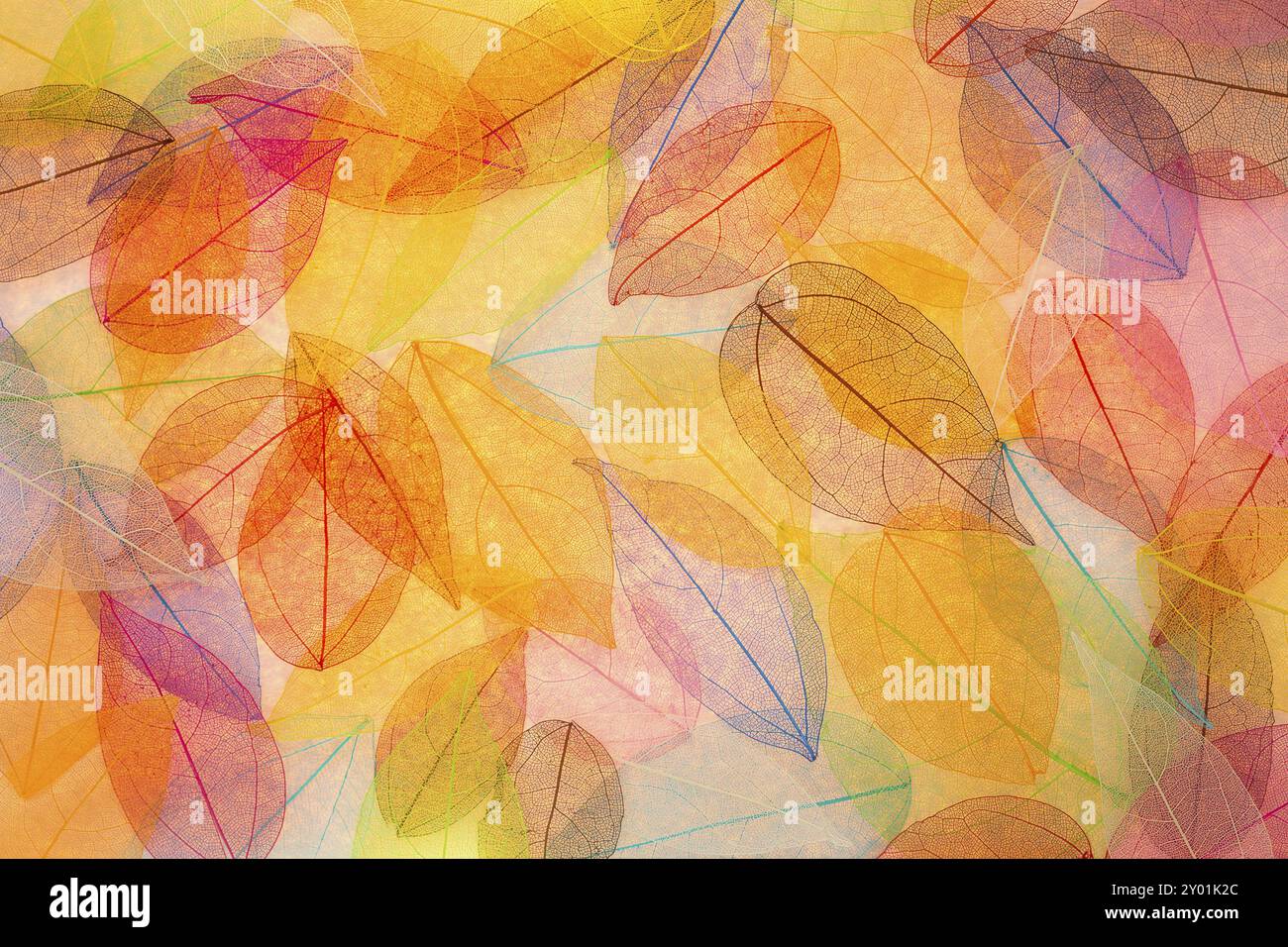 Abstract autumn background. Beautiful leaves texture Stock Photo - Alamy