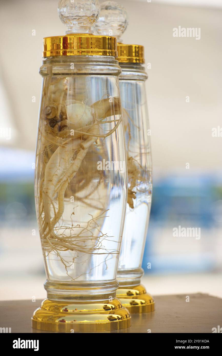 A pair of bottled ginseng, a traditional oriental medicine, is ...