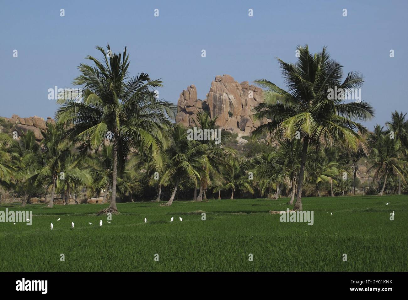 Scene in Hampi Stock Photo - Alamy