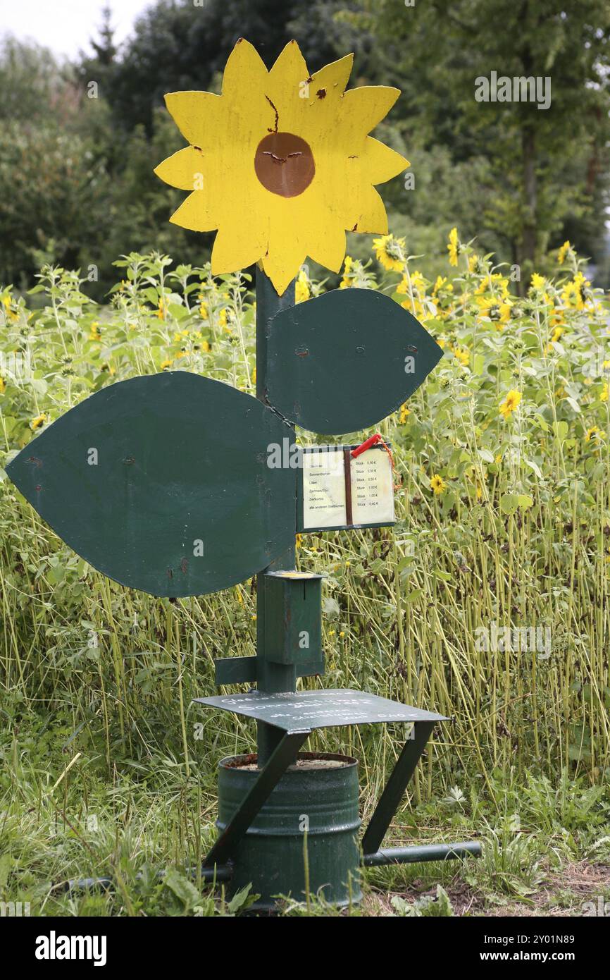 Self service farm stand hi-res stock photography and images - Alamy