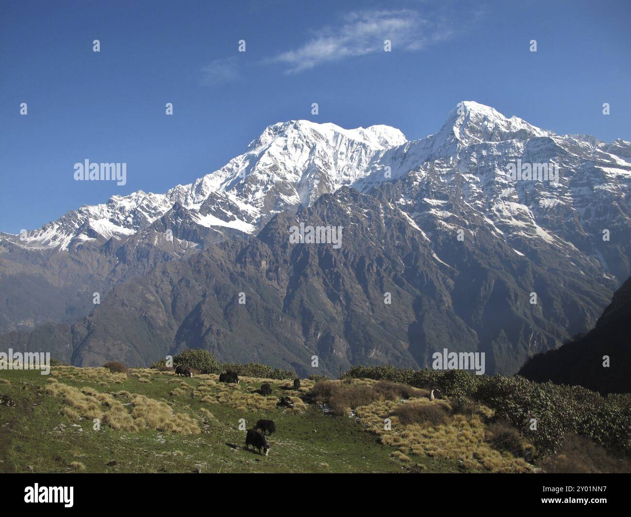 Himal chuli hi-res stock photography and images - Alamy