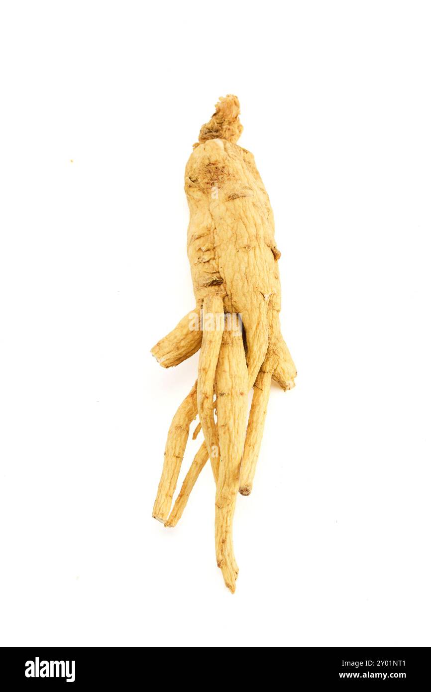 Dried ginseng root on a white background Stock Photo - Alamy