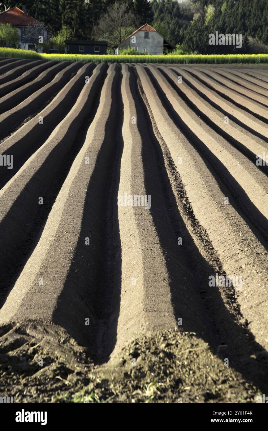 Empty furrows hi-res stock photography and images - Alamy