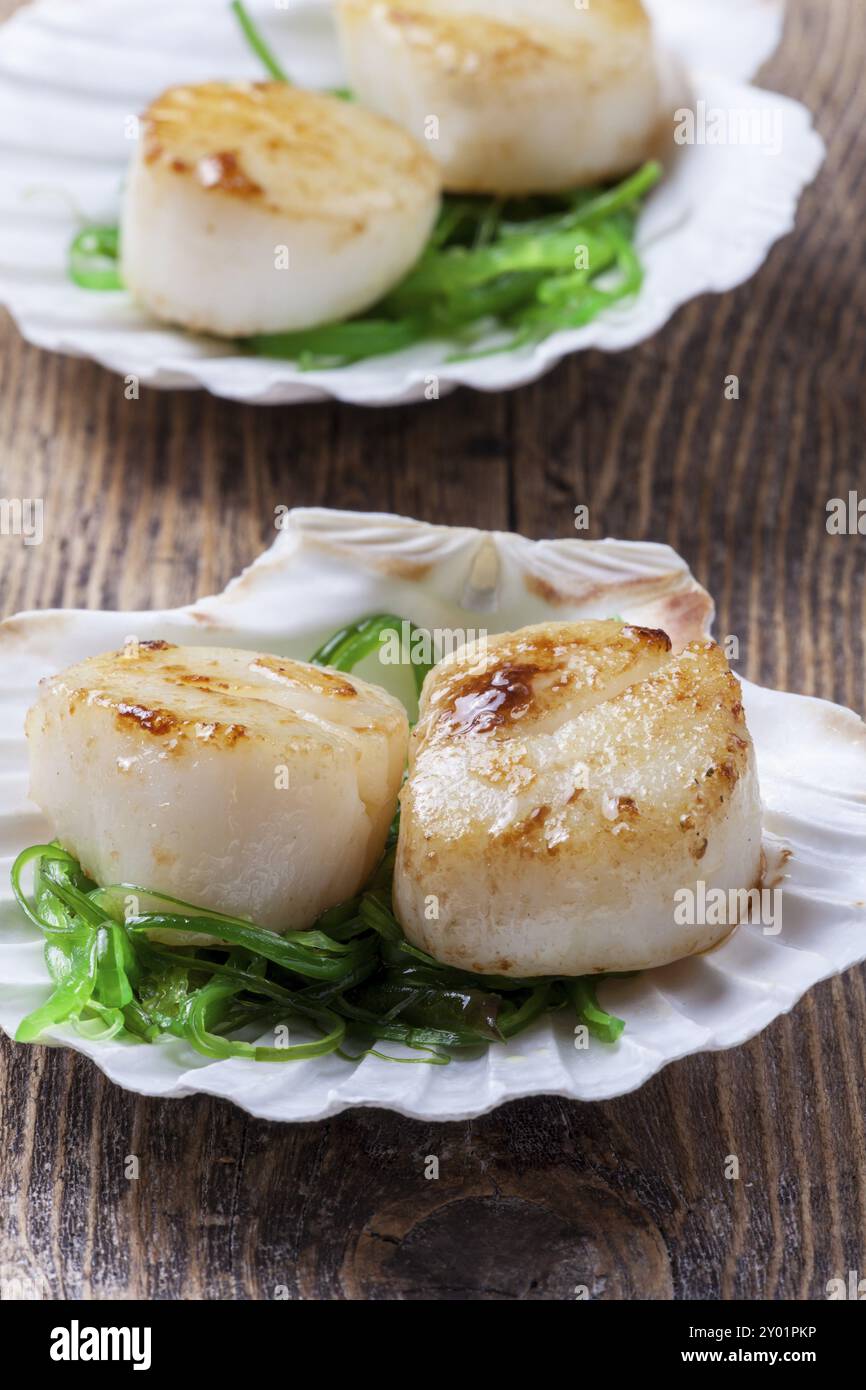 Grilled scallops in shells on wood Stock Photo - Alamy
