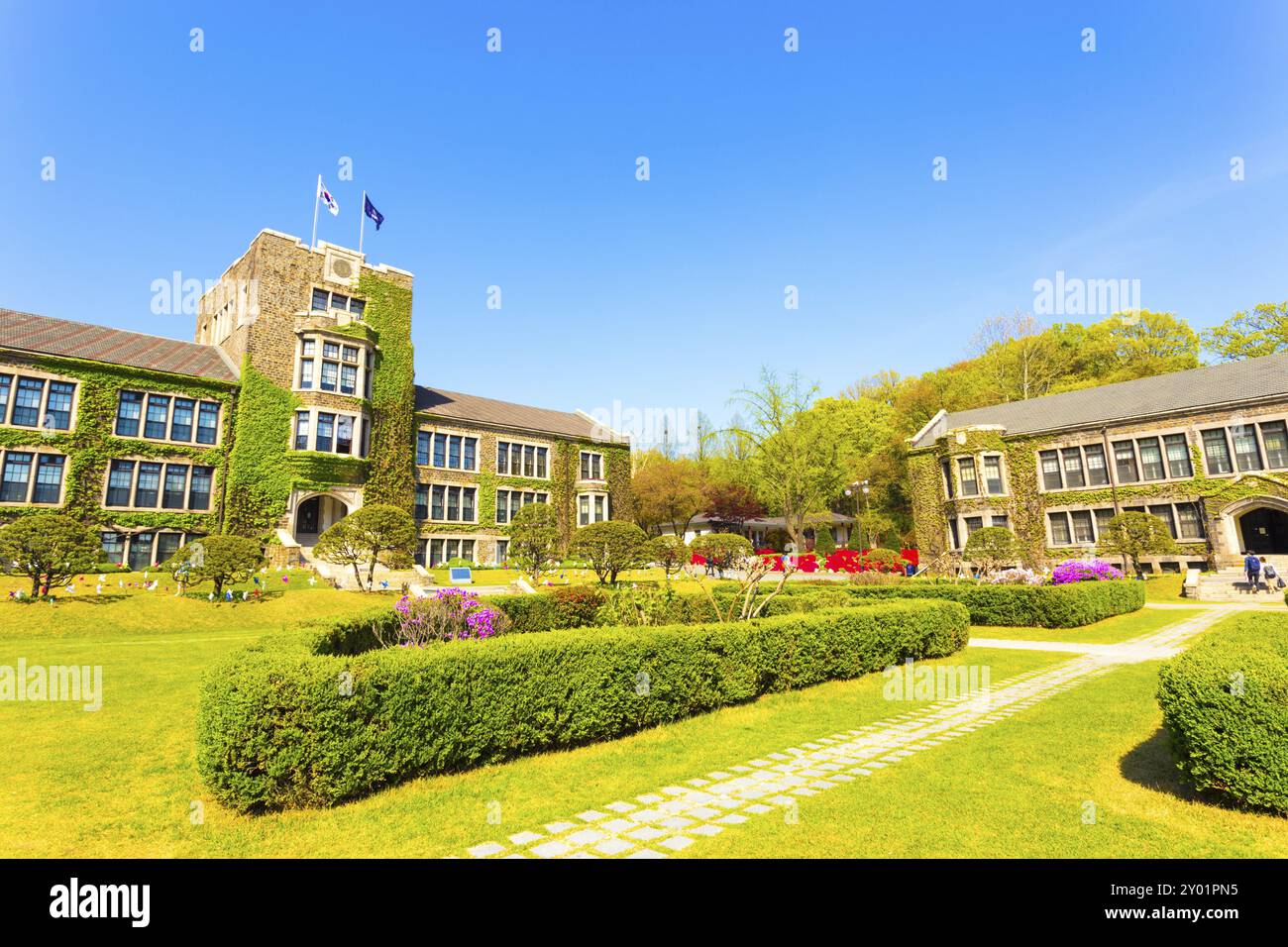 Wind blows plant common ivy hi-res stock photography and images - Alamy
