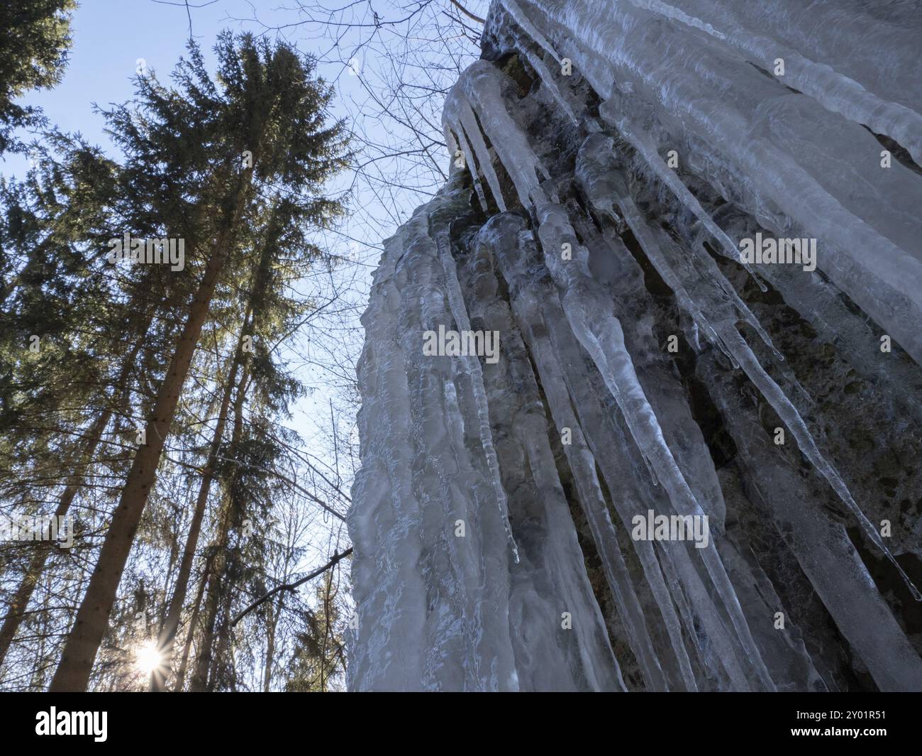Icicles on conifers hi-res stock photography and images - Alamy