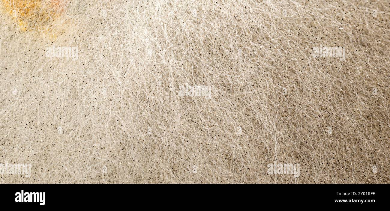 food mold close-up macro background Stock Photo - Alamy