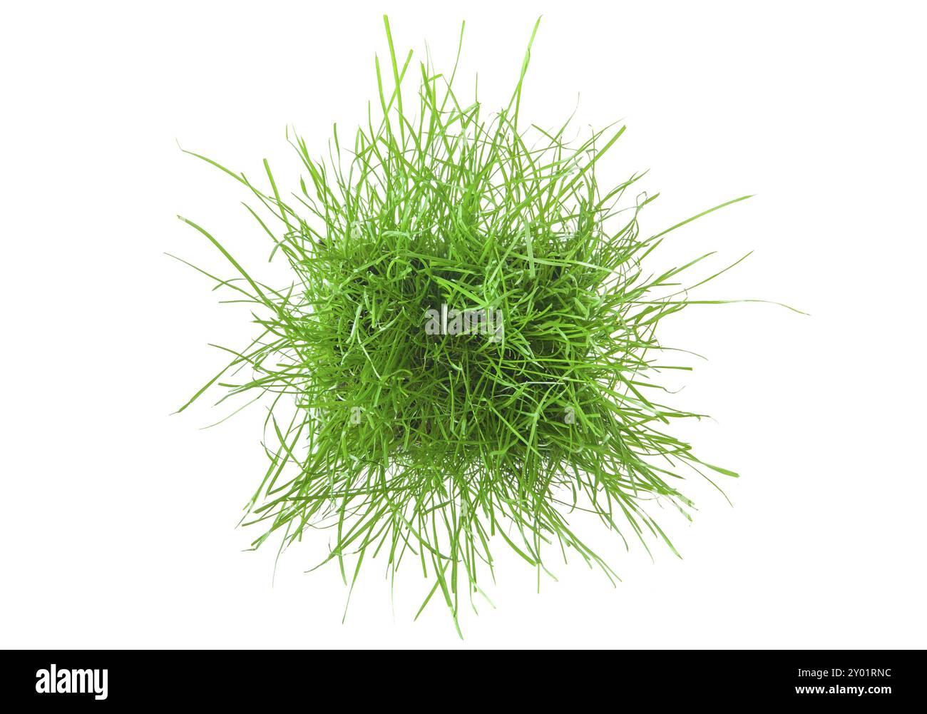 Top down view exposed Cut Out Stock Images & Pictures - Alamy