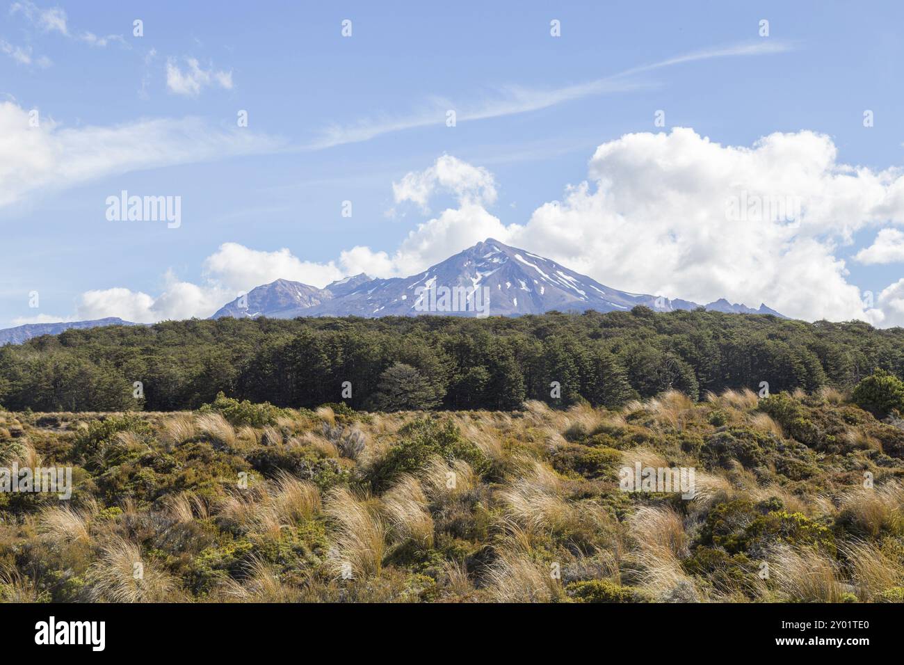 View of Mount Ruapehu in in New Zealand as seen from the Tongariro ...