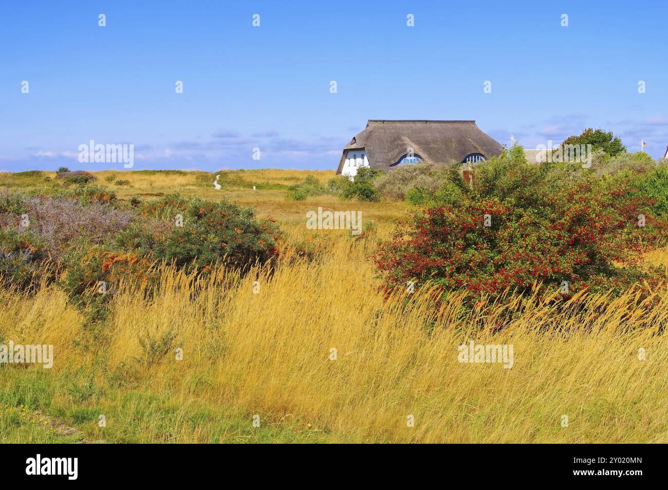 Hiddensee Haus in den Duenen, the island Hiddensee, house in the dunes ...