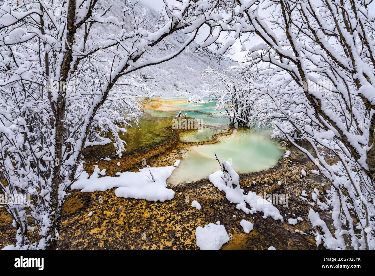 View of trees with snow covered branches and icy water in Colored Lake ...