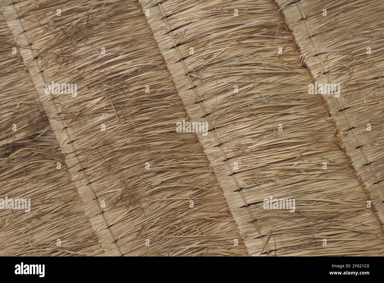 Thatched roof structures hi-res stock photography and images - Alamy