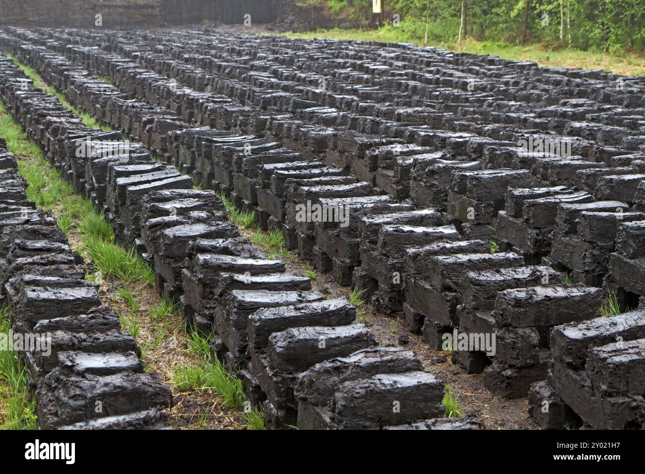 Garden peat cutting hi-res stock photography and images - Alamy