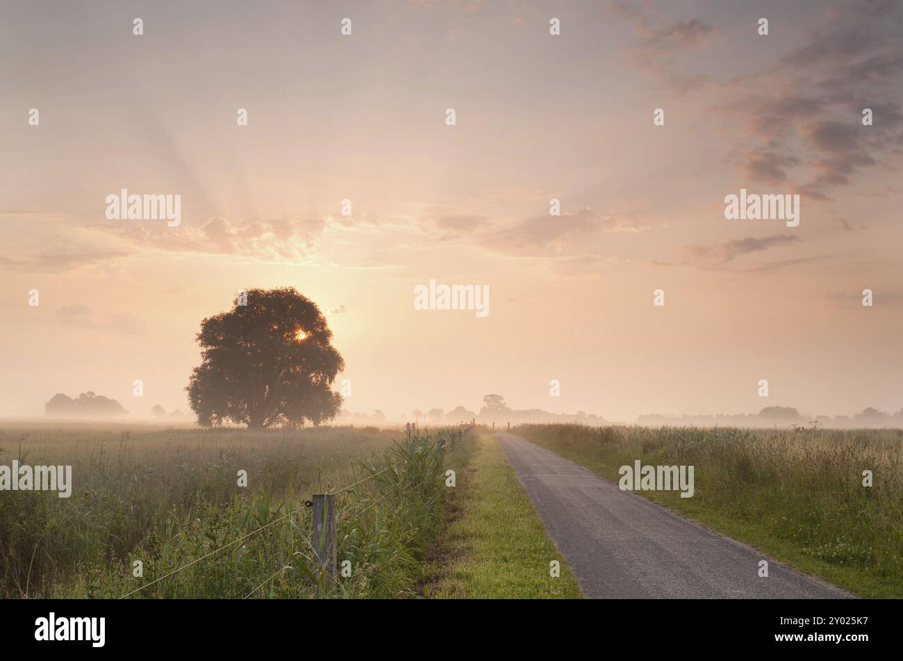 Rural summer sunrise in Groningen, Netherlands Stock Photo - Alamy