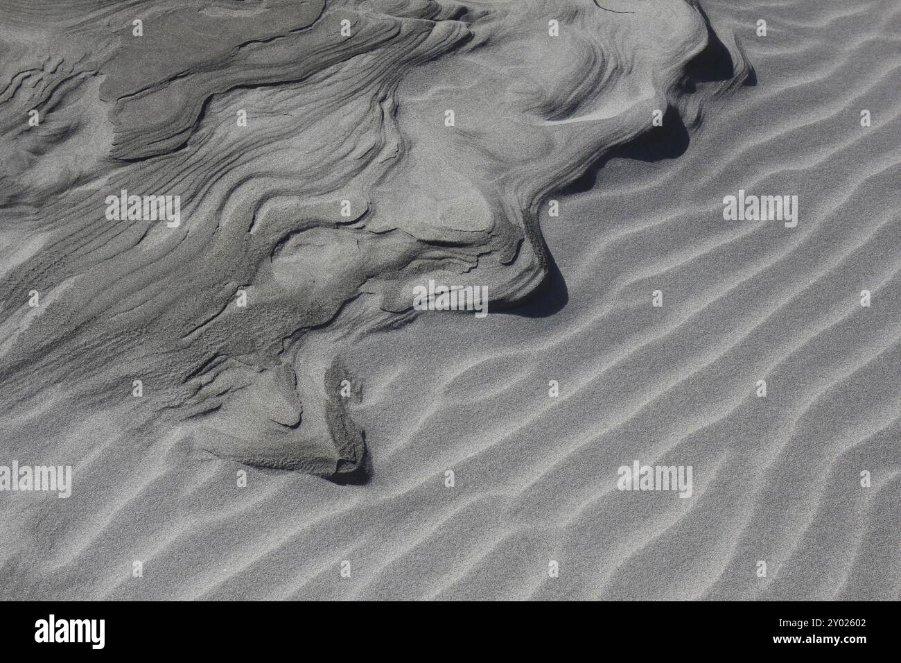 Little sand dunes shaped by wind Stock Photo - Alamy