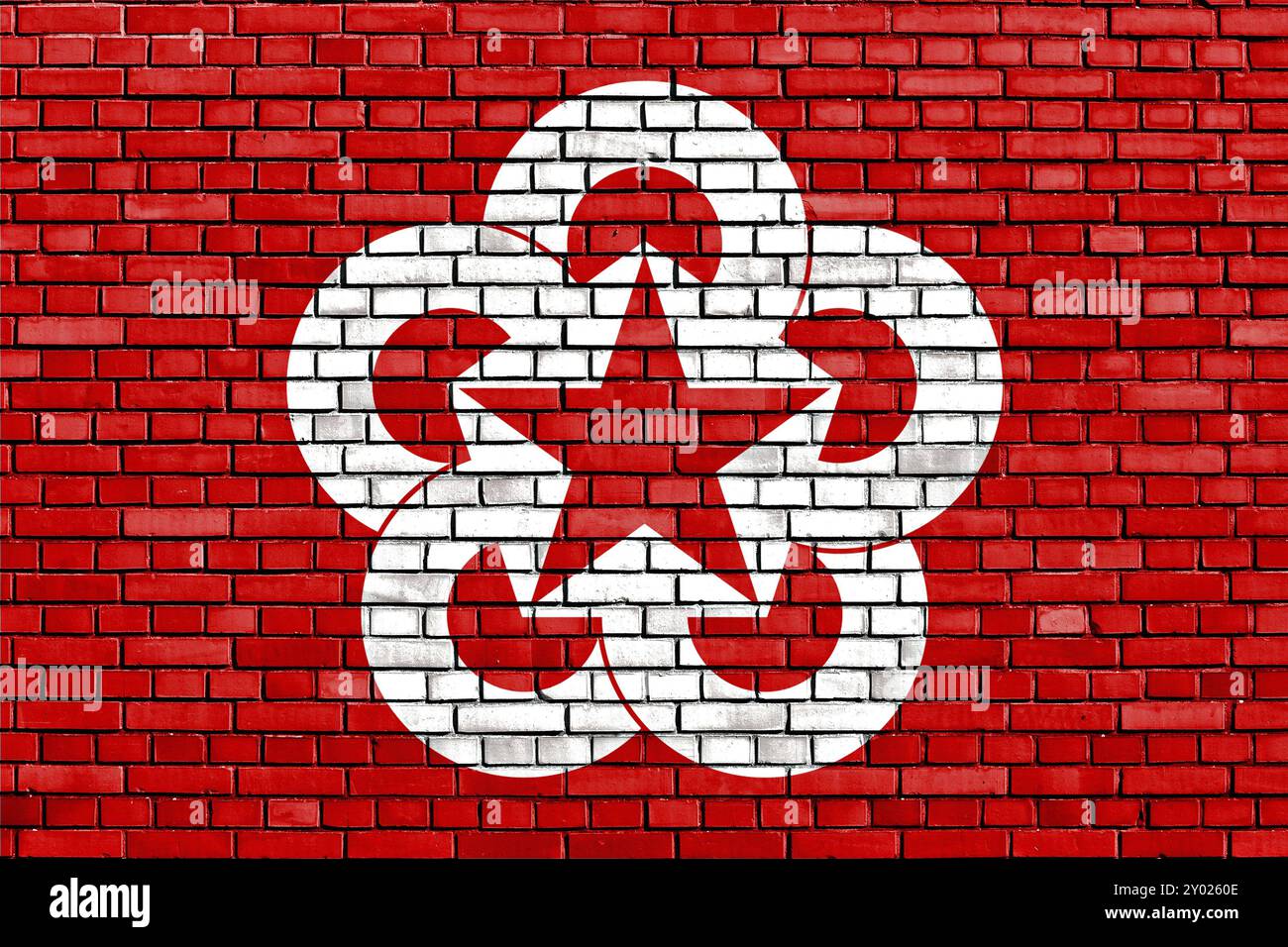 Flag of Comecon painted on brick wall Stock Photo - Alamy