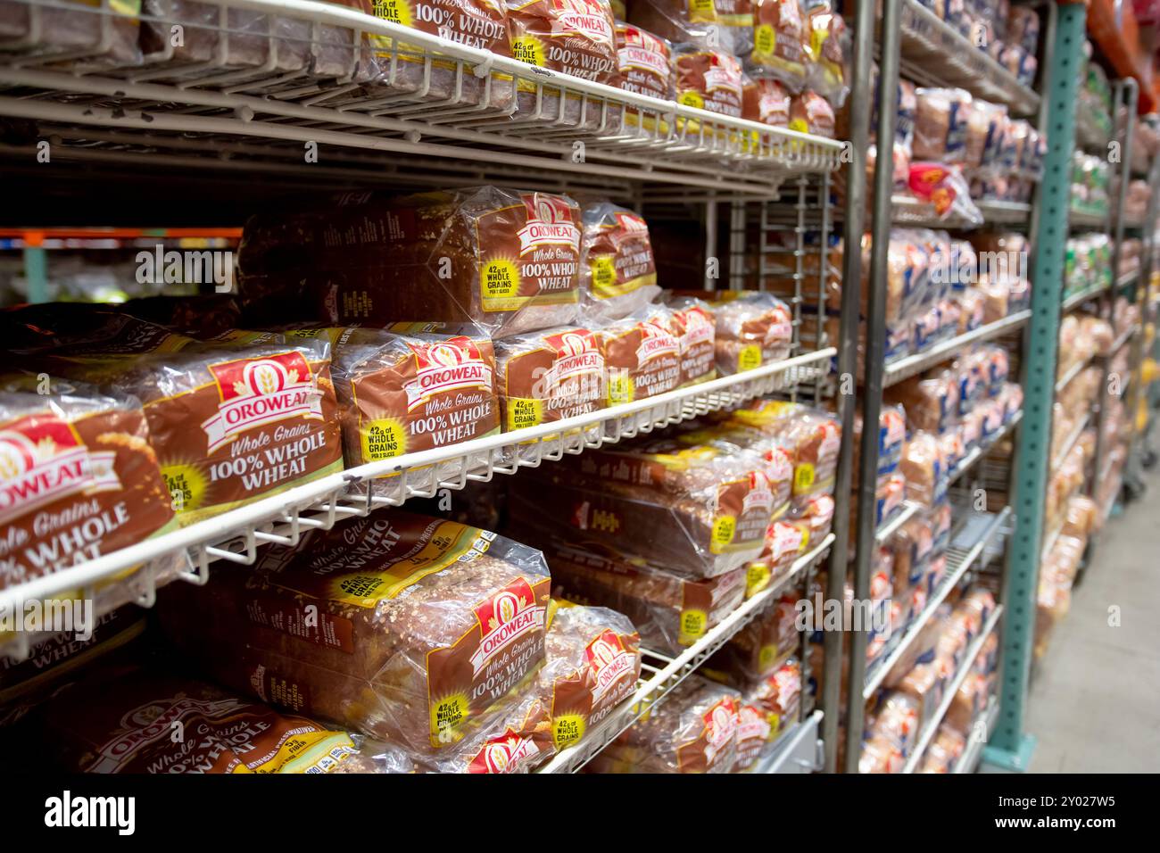 Los Angeles, California, United States - 03-01-2022: A view looking ...