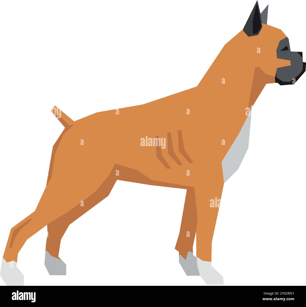 Boxer dog side view. Dog breed color icon Stock Vector Image & Art - Alamy