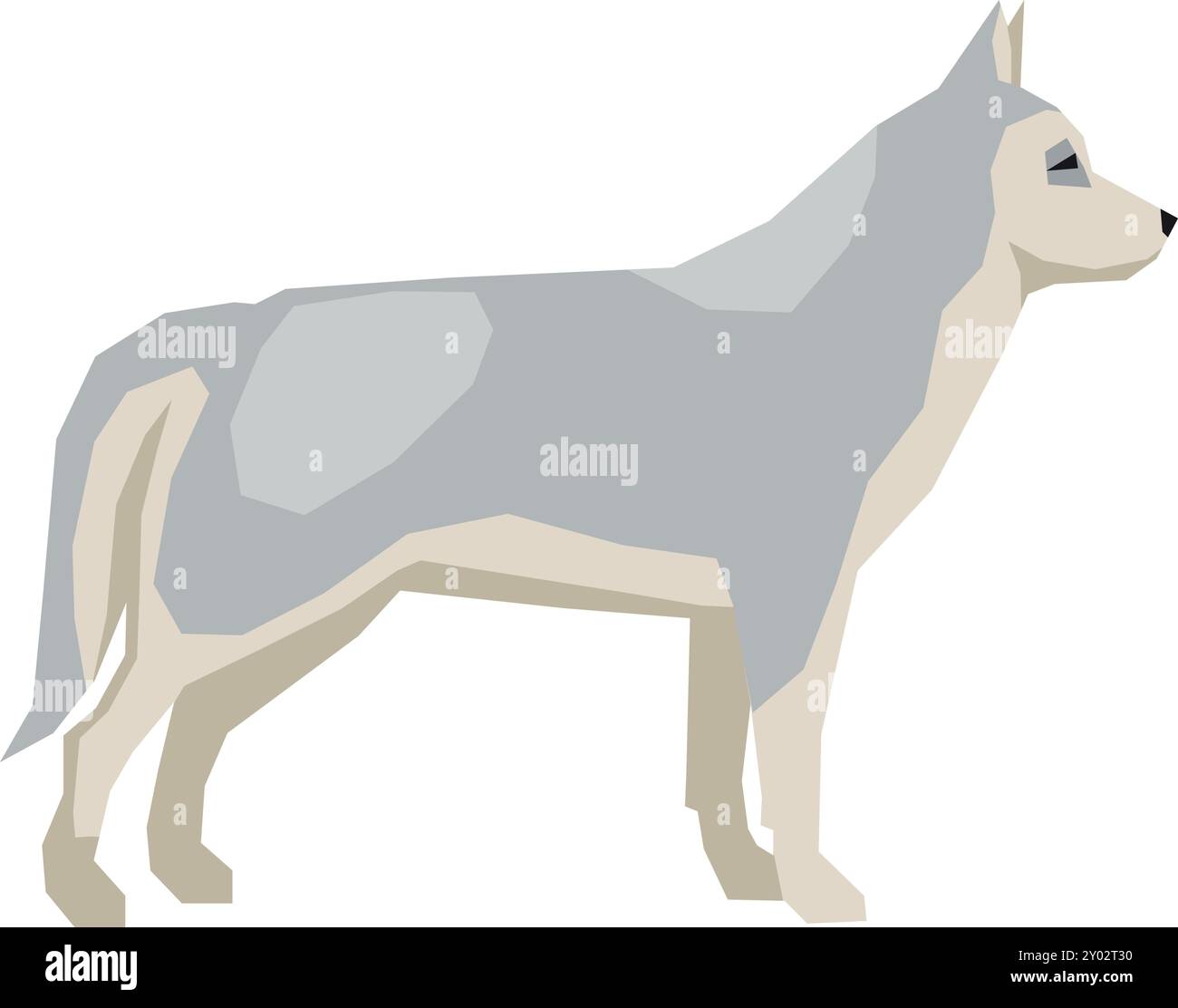 Siberian husky puppy side view hi-res stock photography and images - Alamy