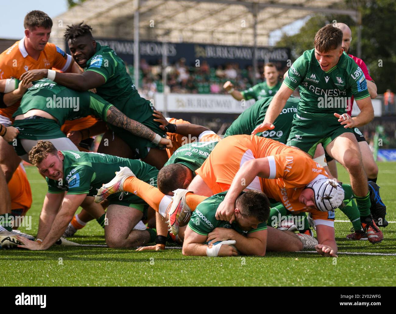 Galway, Ireland. 31st August, 2024. Dylan Tierney-Martin scores a try ...