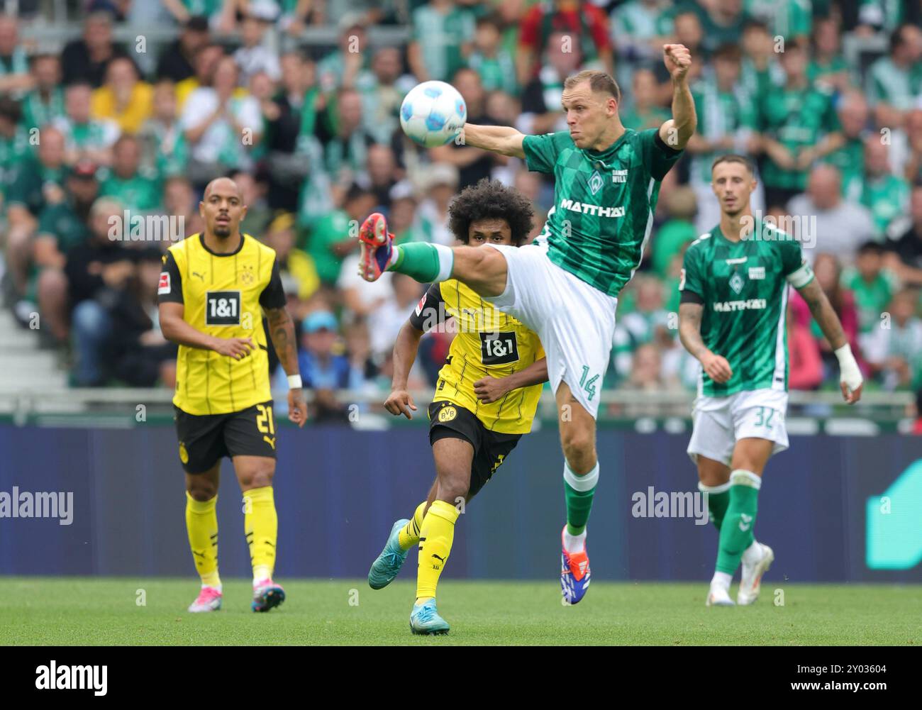 Senne lynen hi-res stock photography and images - Alamy