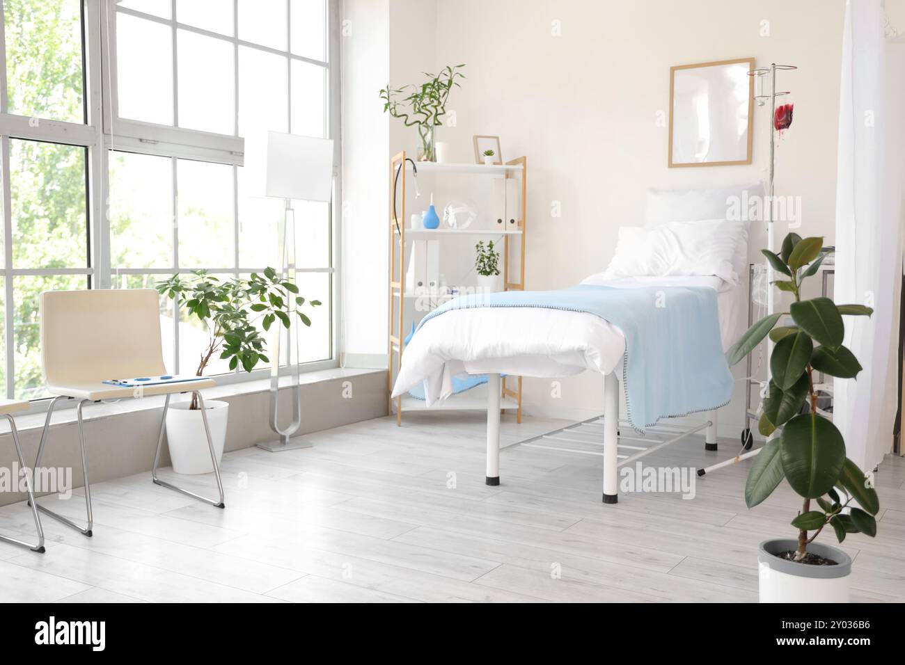 Interior of hospital ward with bed, shelf unit and plants Stock Photo ...
