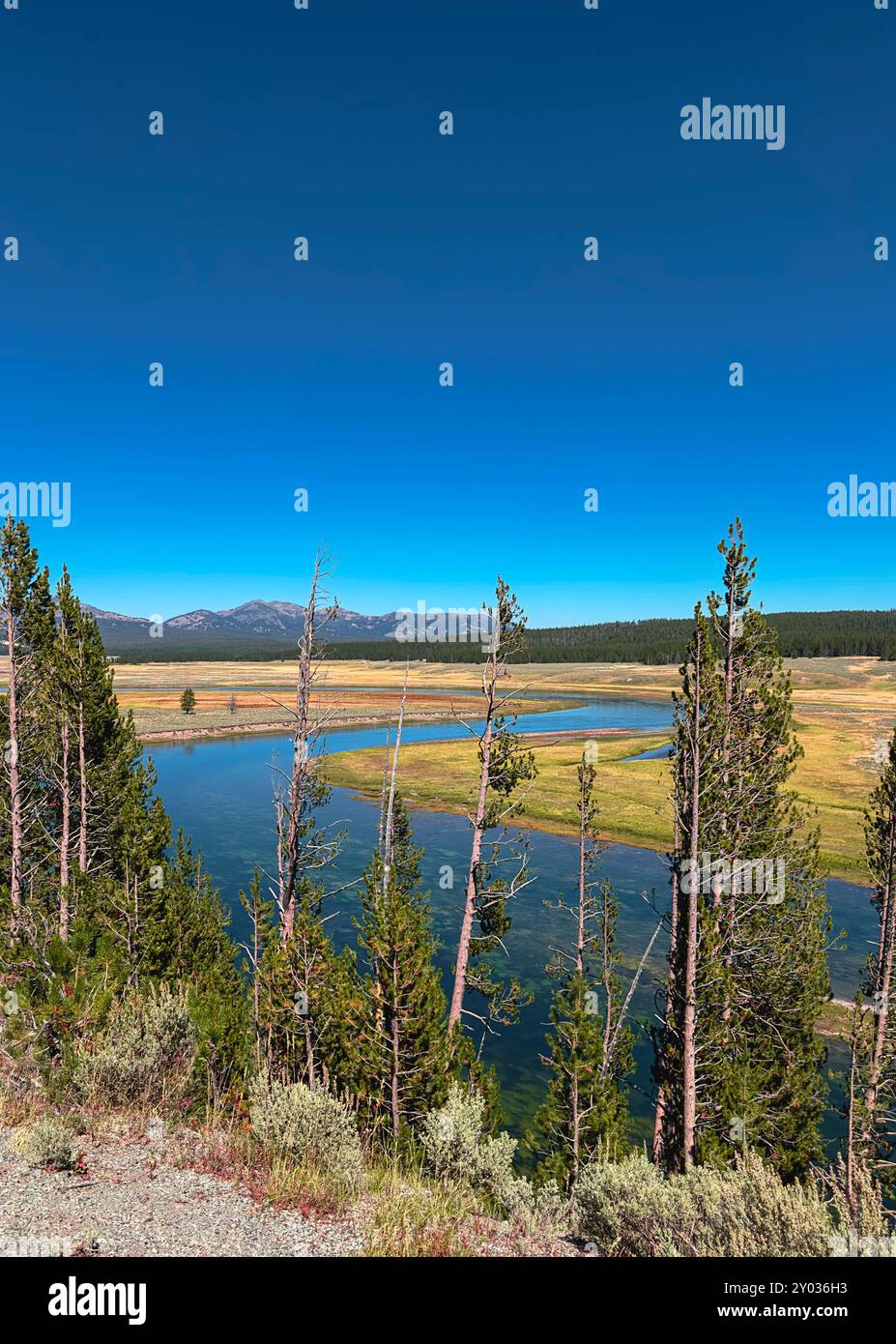 Curve in yellowstone river hi-res stock photography and images - Alamy