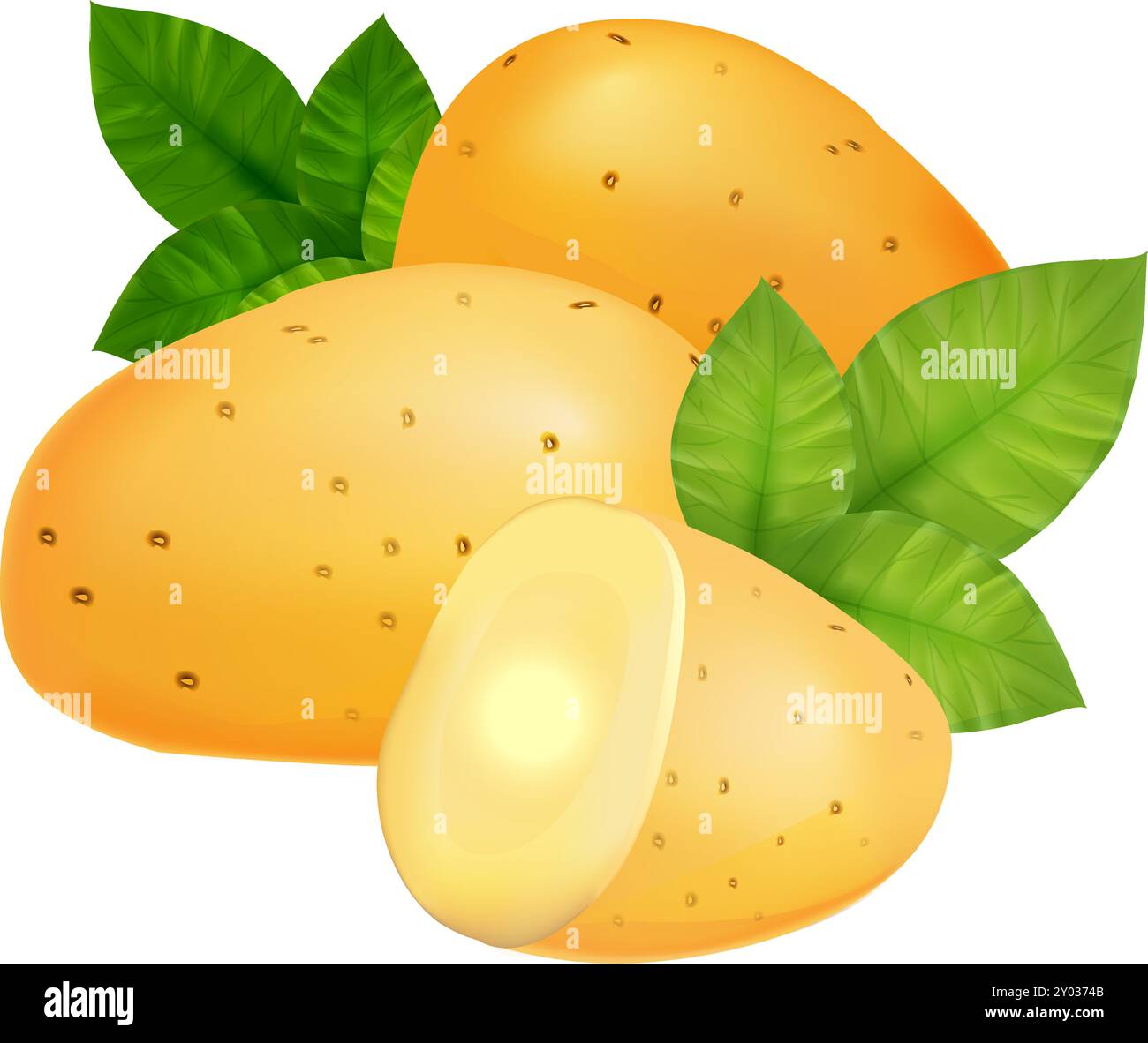 Potato piece Stock Vector Images - Alamy