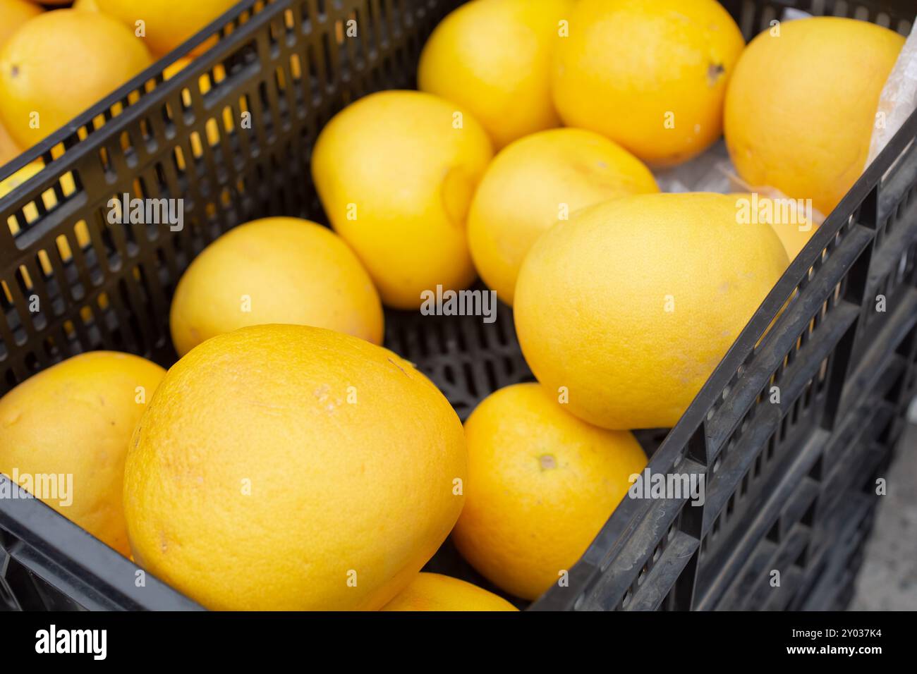 Grocery section large department hi-res stock photography and images ...