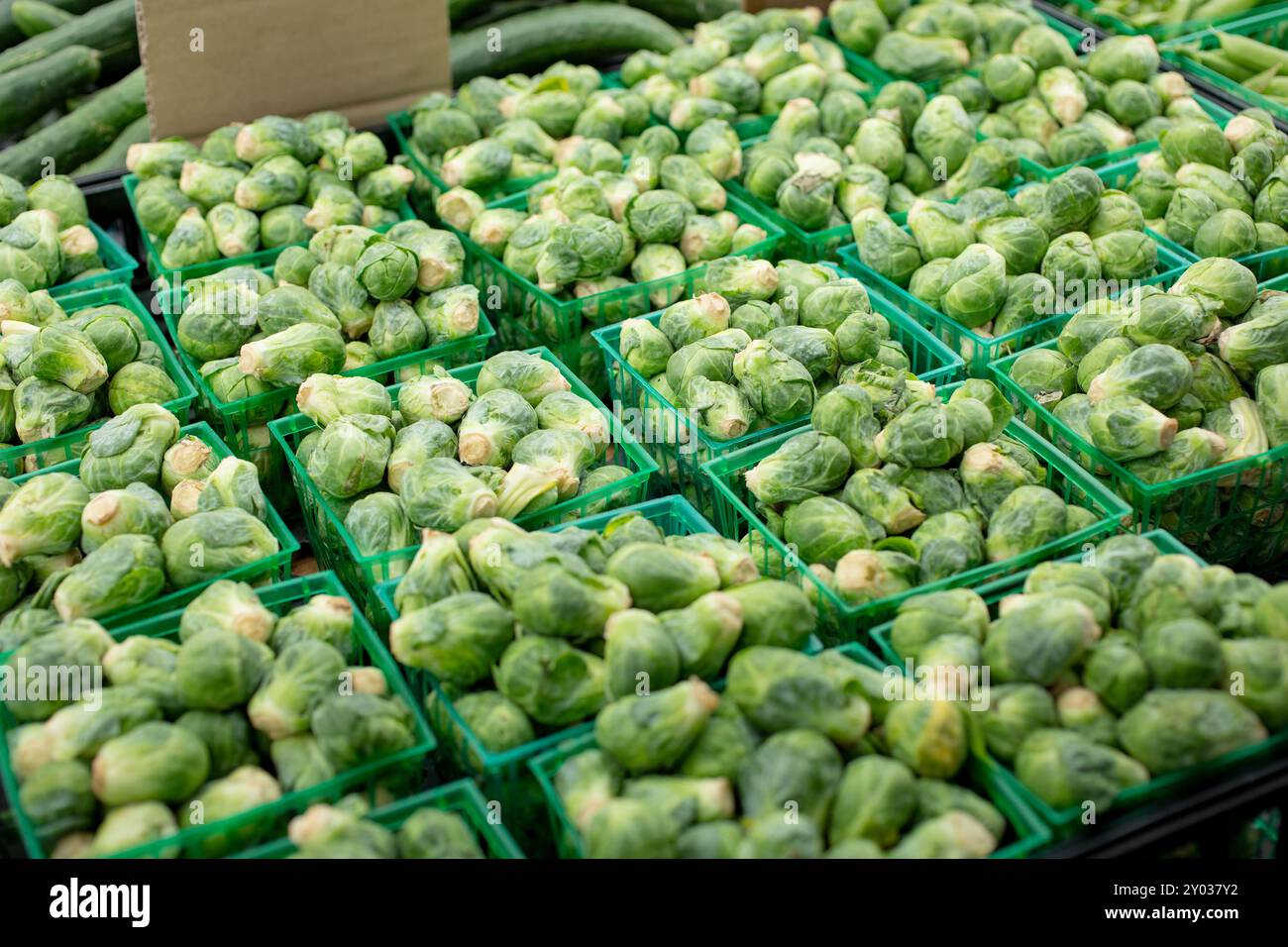 A view of several cartons of Brussels sprouts, on display at a local ...