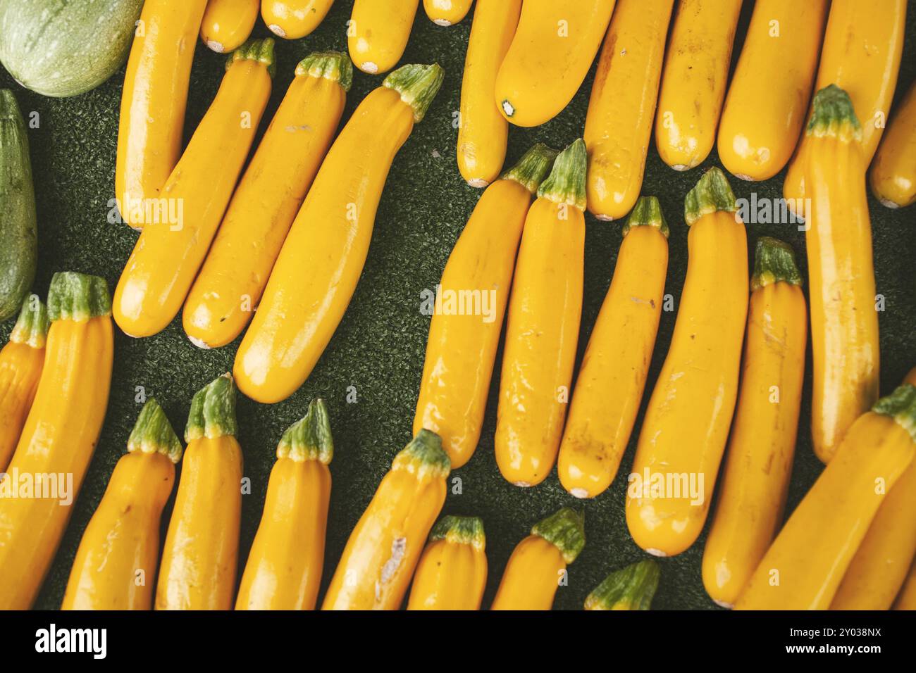 A top down view of a table full of yellow squash, on display at a local ...