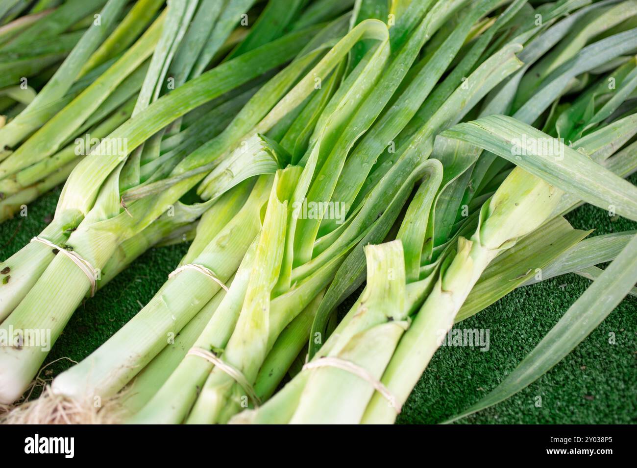 A view of a several bundles of leeks, on display at a local farmers ...
