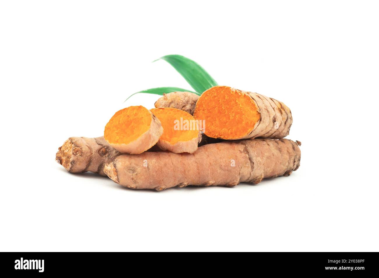 Fresh turmeric root isolated on white background, spice concept ...