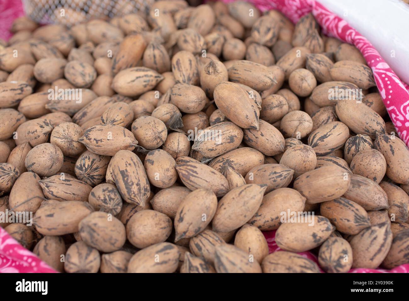 A view of a large pile of pecan pods, on display at a local farmers ...