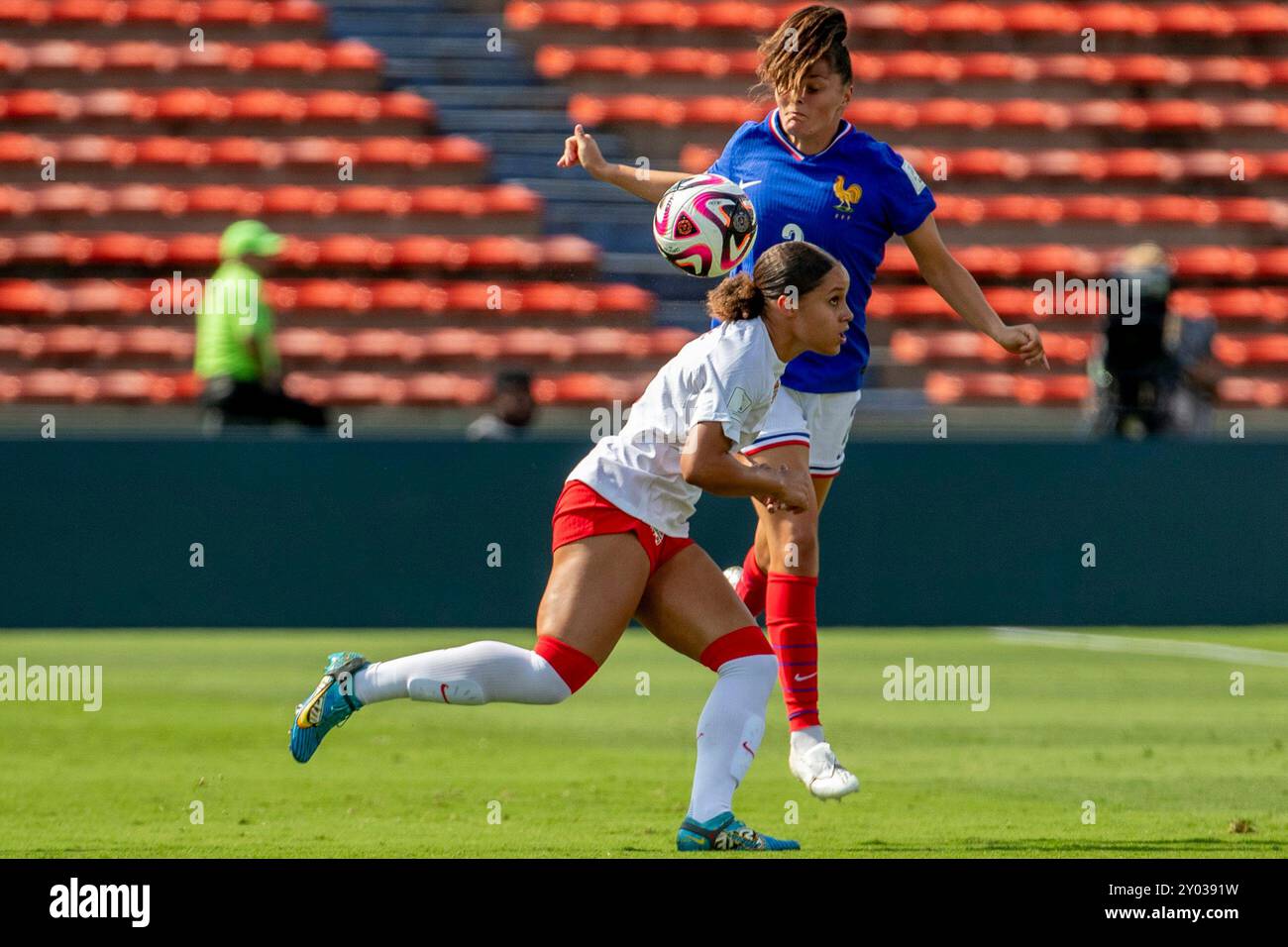 Nyah rose hi-res stock photography and images - Alamy