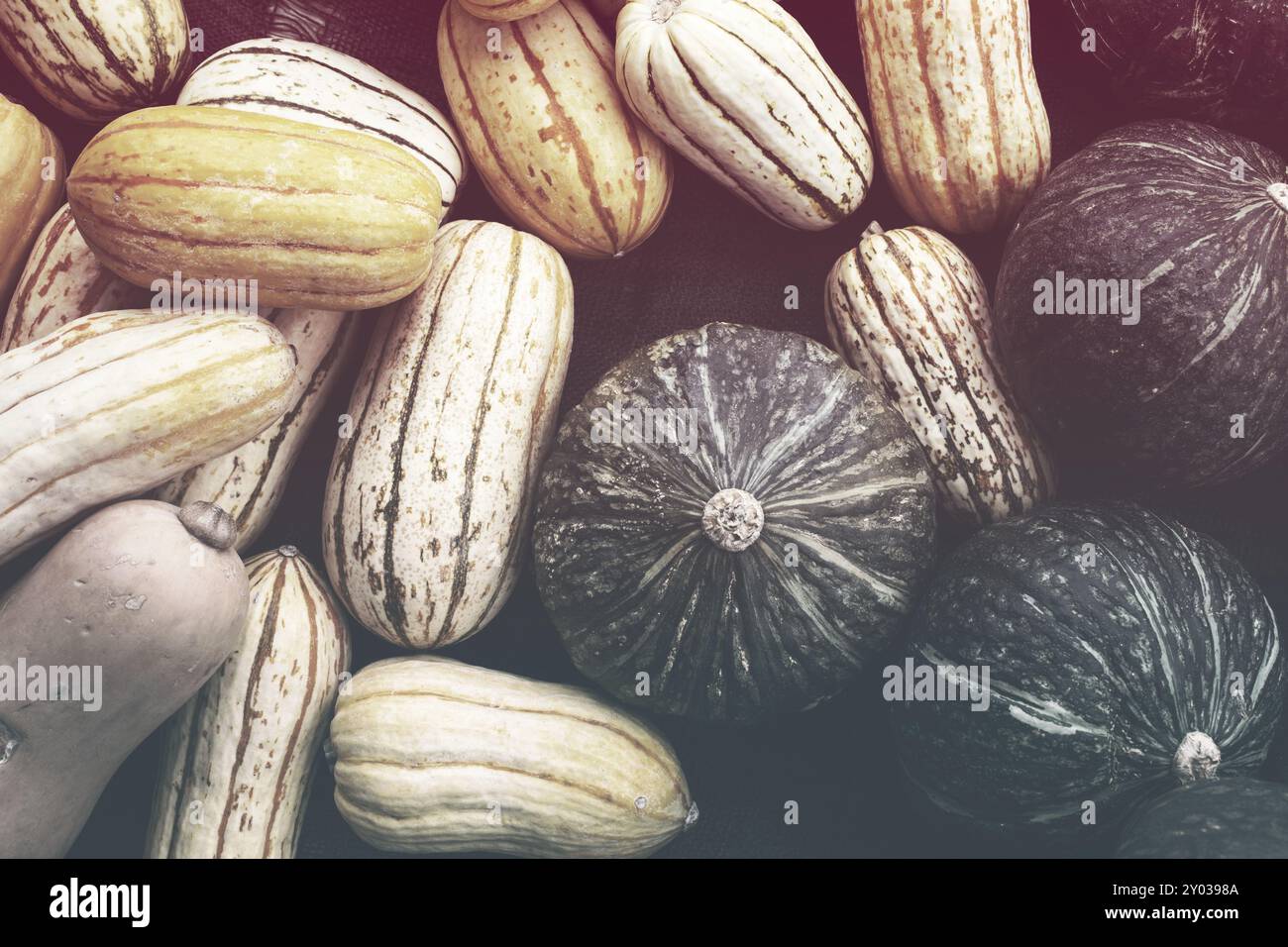 A top down view of several varieties of winter squash Stock Photo - Alamy