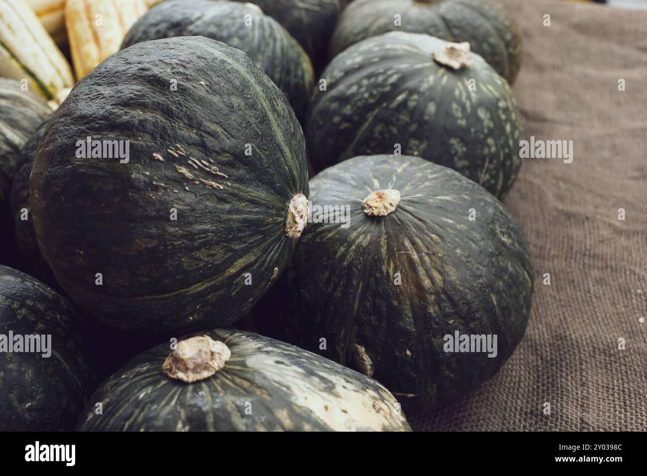 A view of several kabocha squash, on display at a local farmers market ...