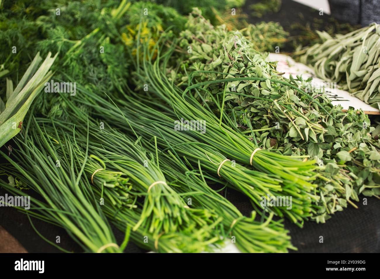 A view of a table full of varieties of herbs, featuring chive and ...