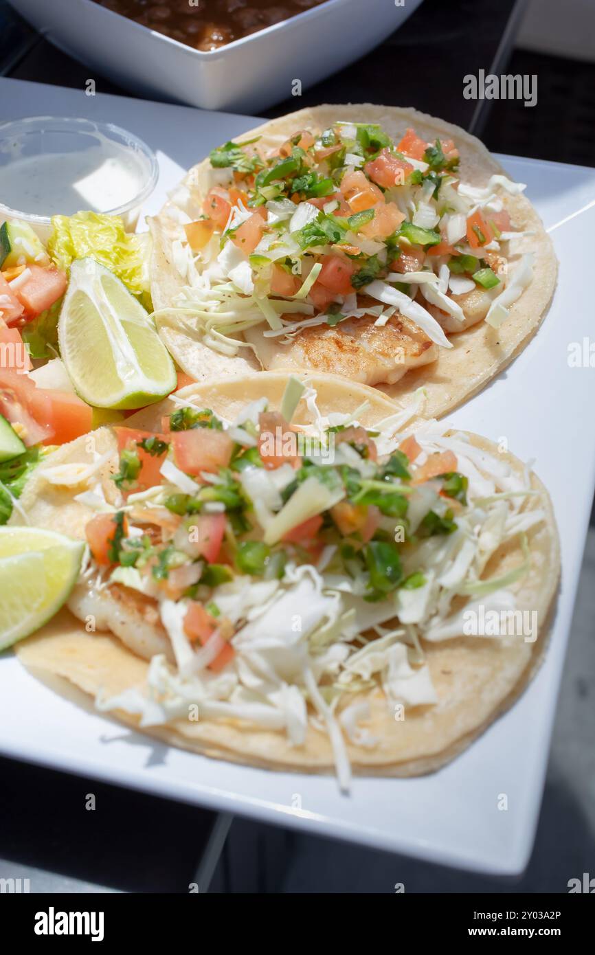 Gallo fish hi-res stock photography and images - Alamy