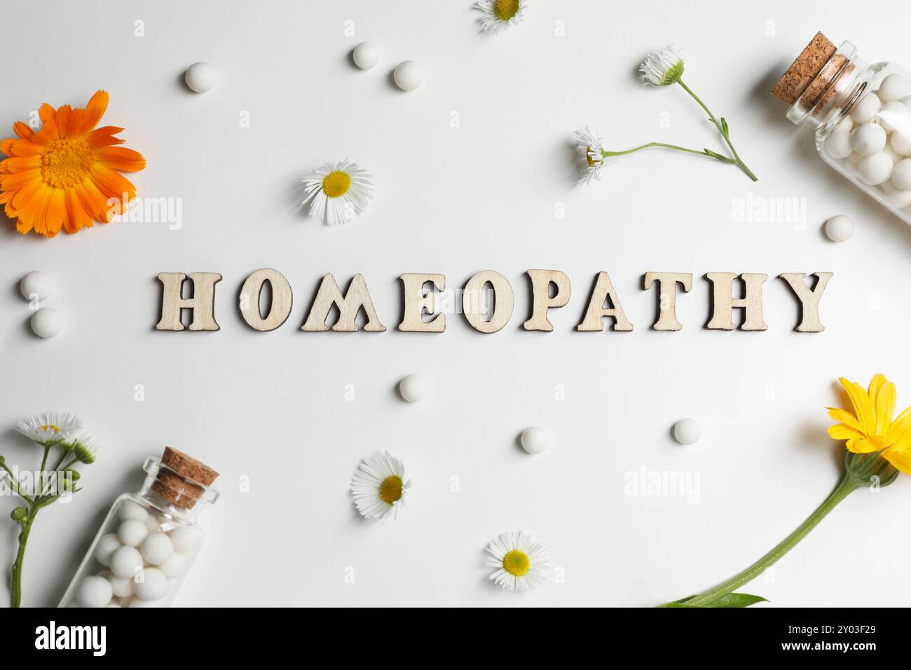 Word Homeopathy, pills and medicinal herbs on white background, flat ...