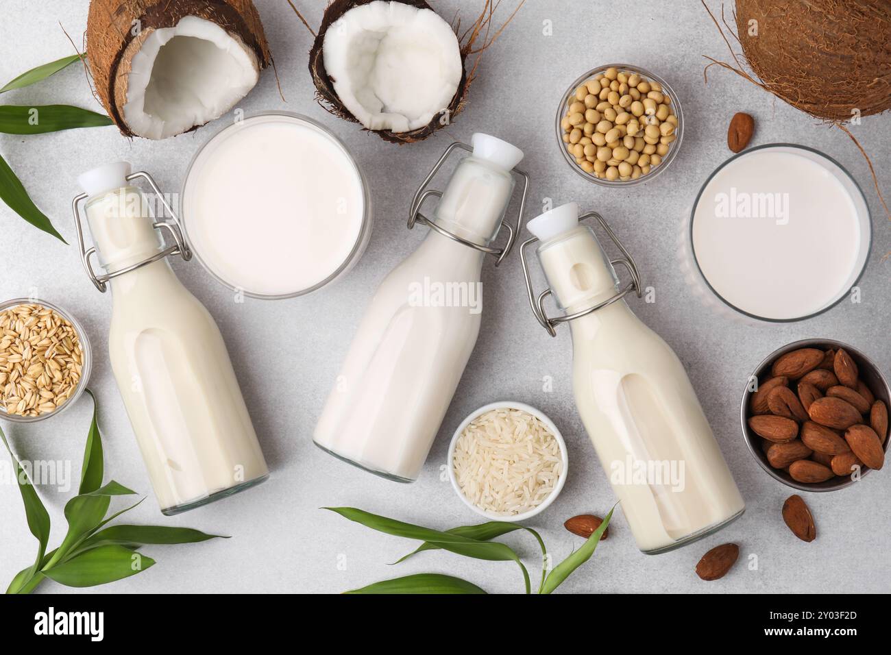 Different types of vegan milk with ingredients and leaves on light grey ...