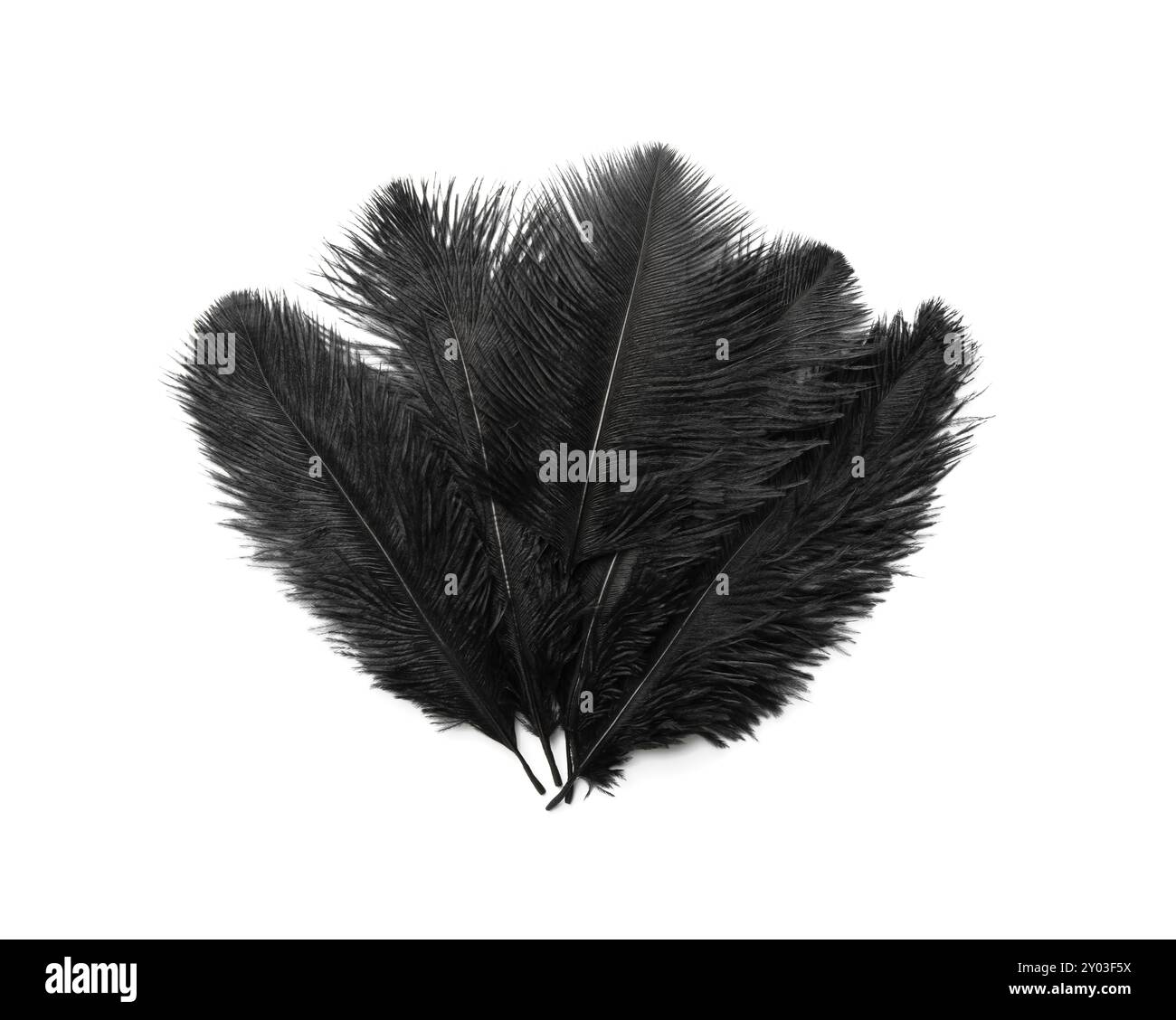 Top view weightless soft Cut Out Stock Images & Pictures - Alamy