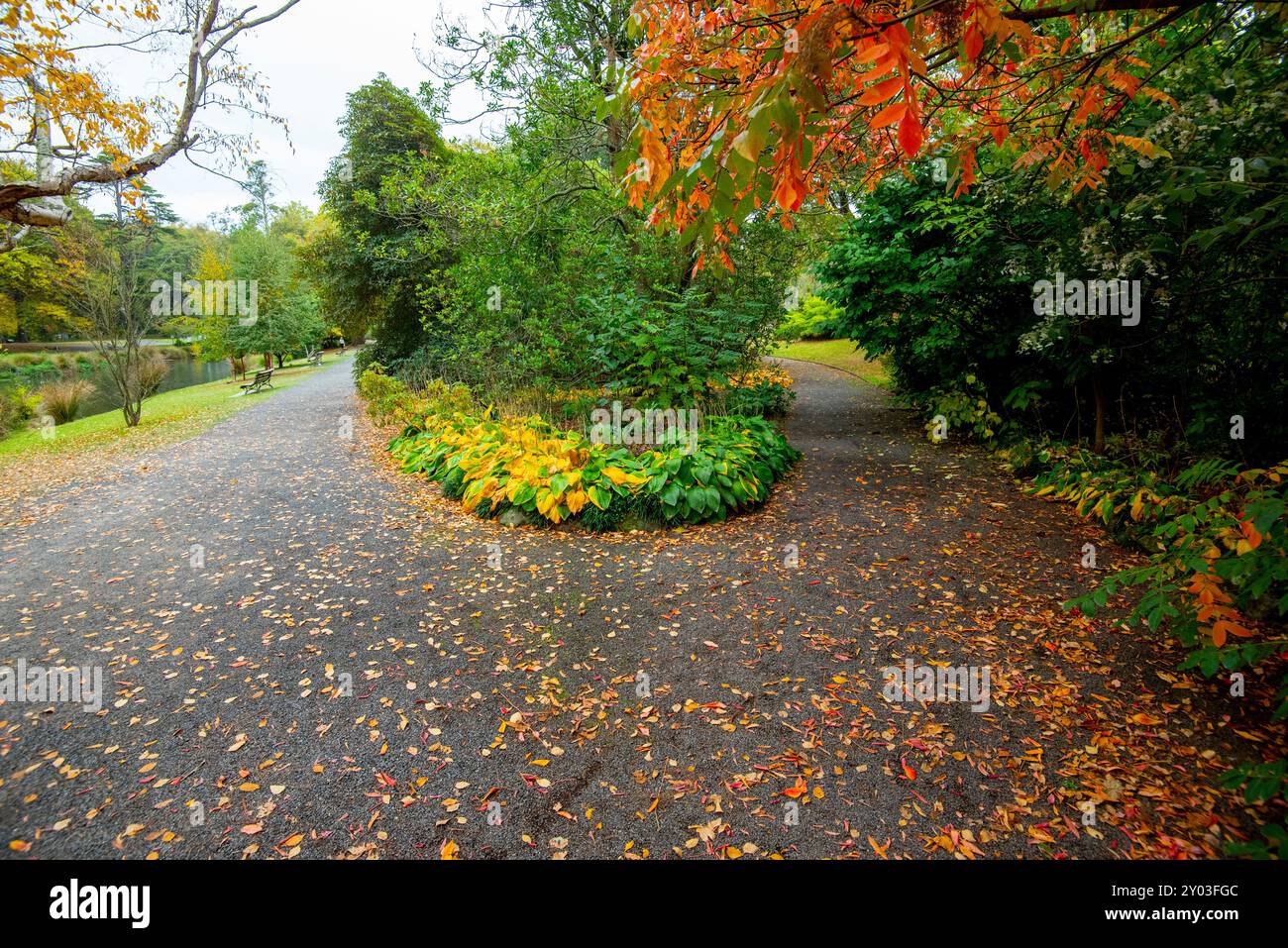 Christchurch Botanic Gardens - New Zealand Stock Photo - Alamy