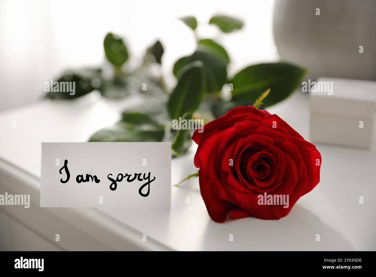 Sorry card red hi-res stock photography and images - Alamy