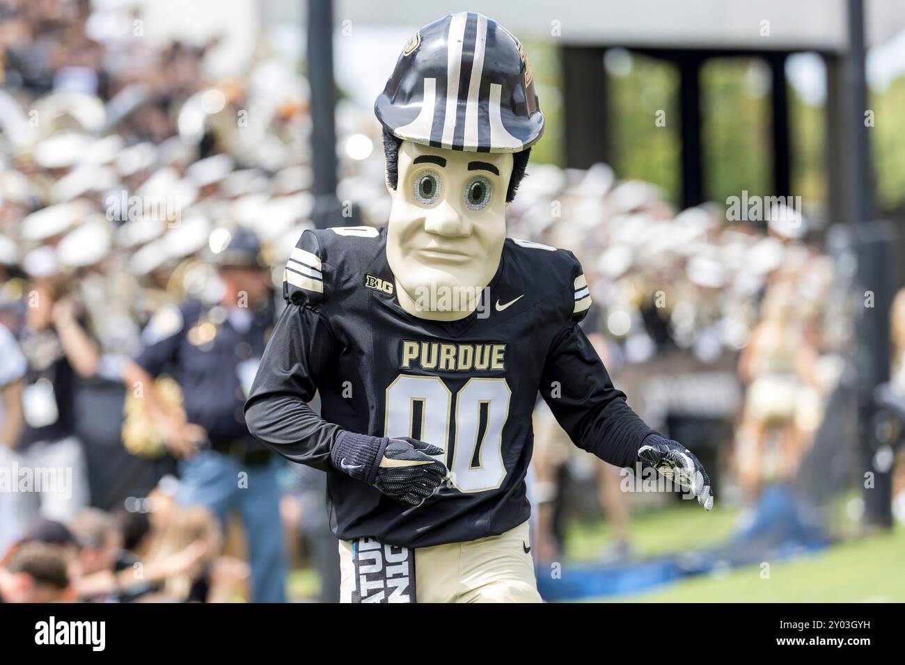 August 31, 2024: Purdue Pete during NCAA football game action between ...