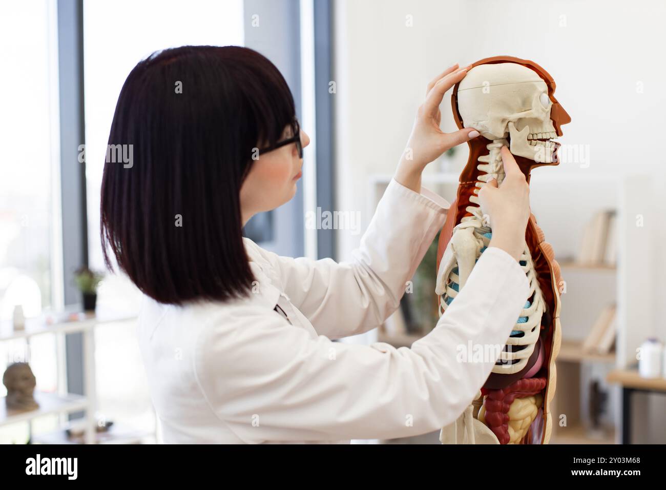 Medical student studying human skeleton model in classroom Stock Photo ...
