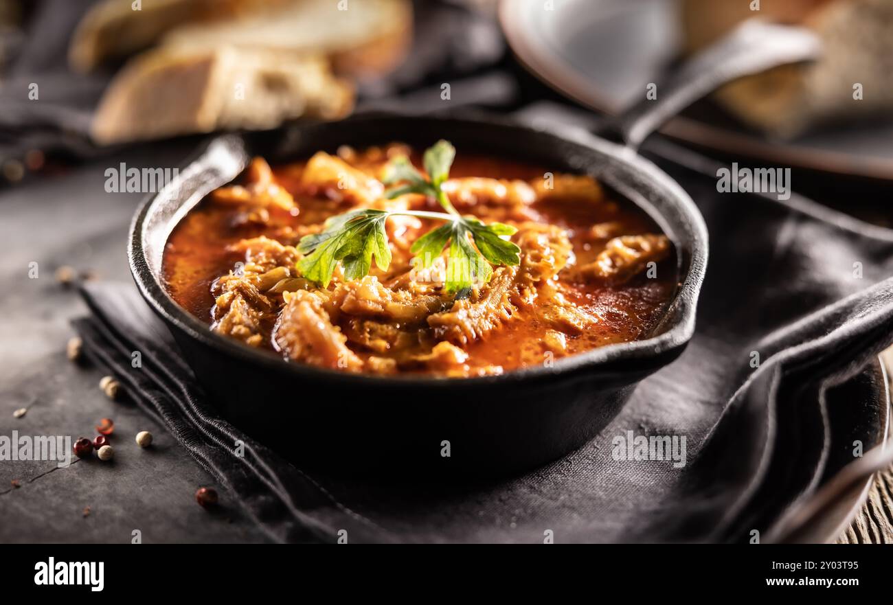 Tasty soup or stew made of beef tripe and spices. Spicy and aromatic ...